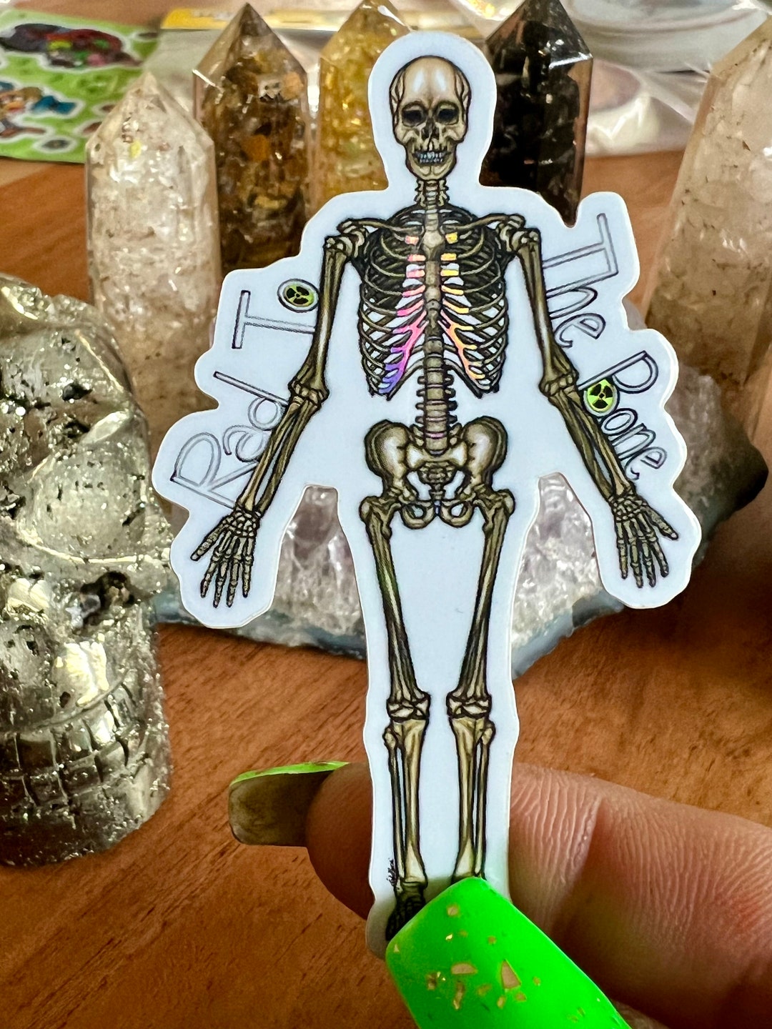 Anatomy Sticker, Holographic - Rad to the Bone, Skeletal System X-ray ...