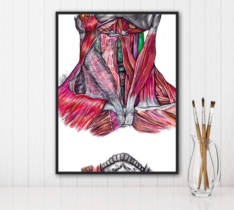 Muscles of Neck-vibrant Colors,digital Hand Drawn Art, iPad Drawing ...