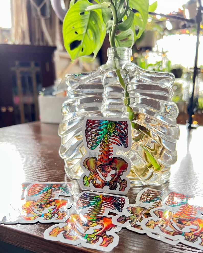Anatomy Sticker Stickers - Bony Framework of Thorax, Holographic ...