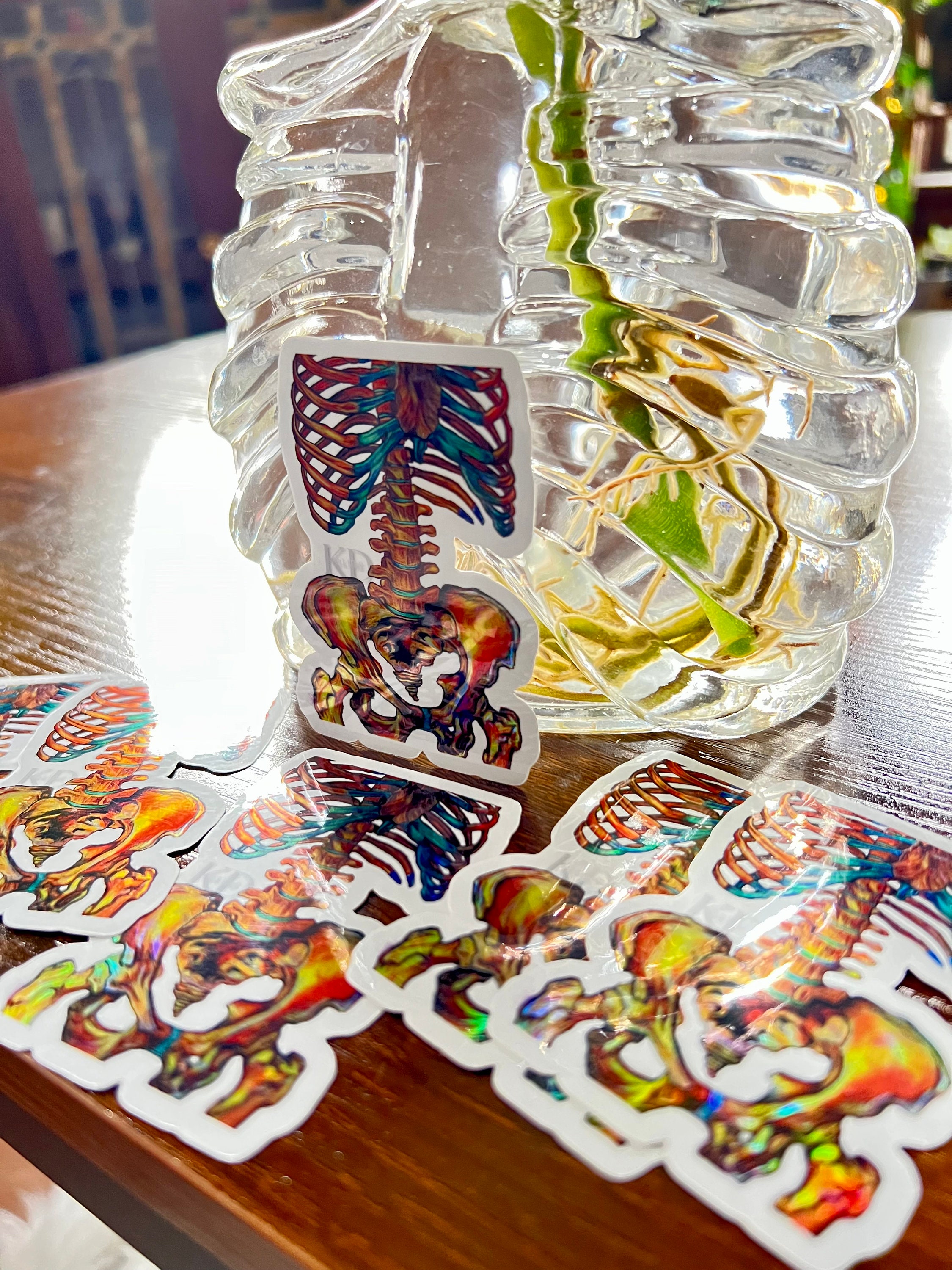 Anatomy Sticker Stickers Bony Framework of Thorax - Etsy