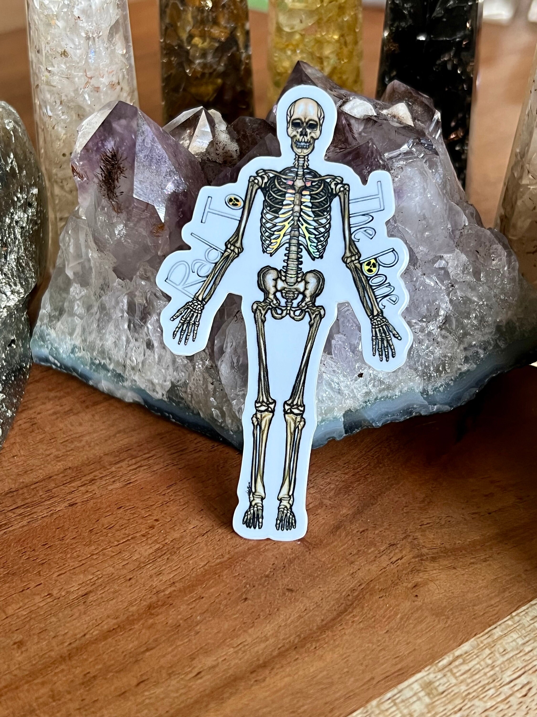 Anatomy Sticker, Holographic Rad to the Bone, Skeletal System X-ray ...