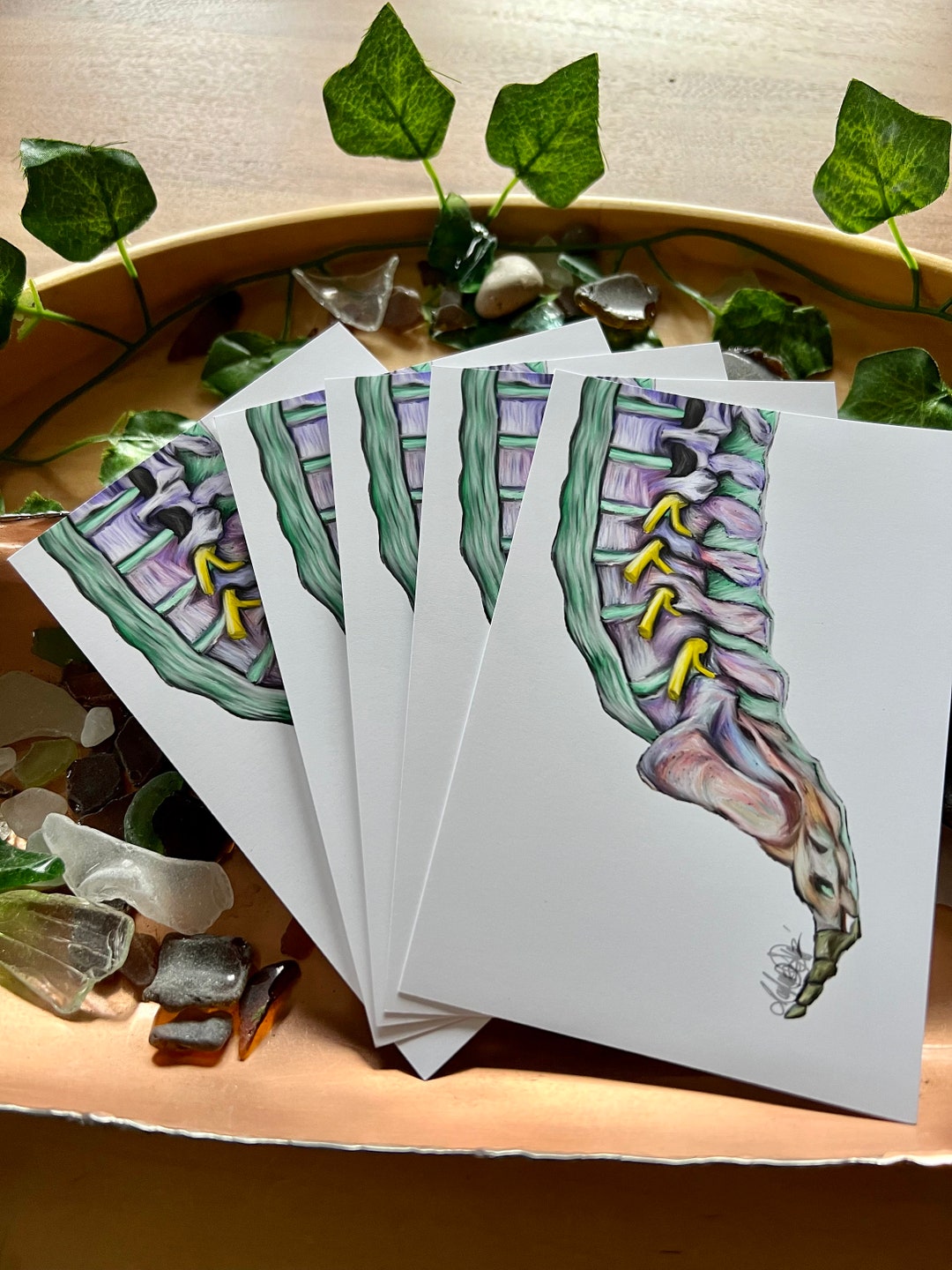 4 X 6 Anatomy Notecard Print Set of 5 Thank You Note, Medical Gift ...