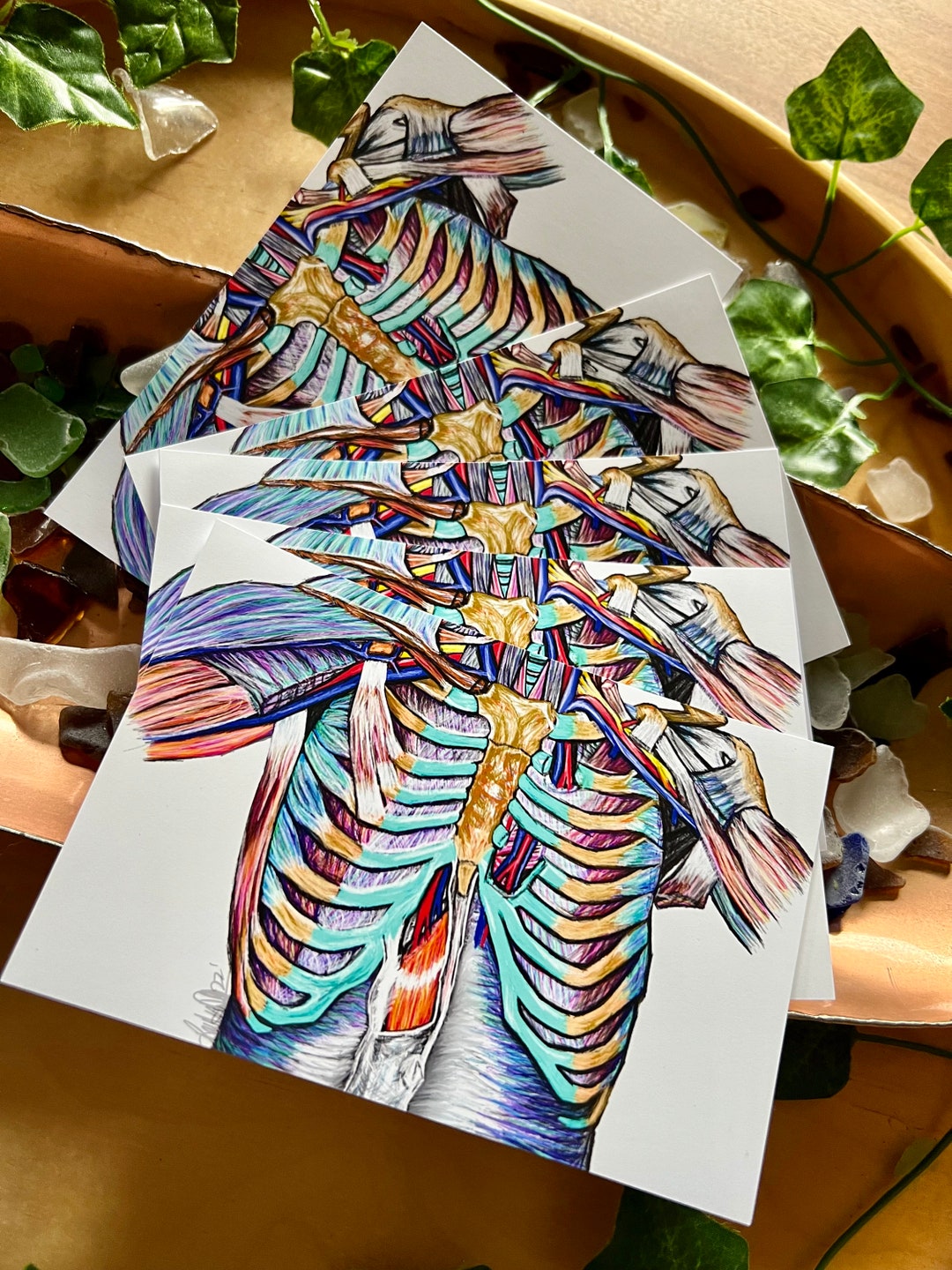 4 X 6 Anatomy Notecard Print Set of 5 Thank You Note, Medical Gift ...