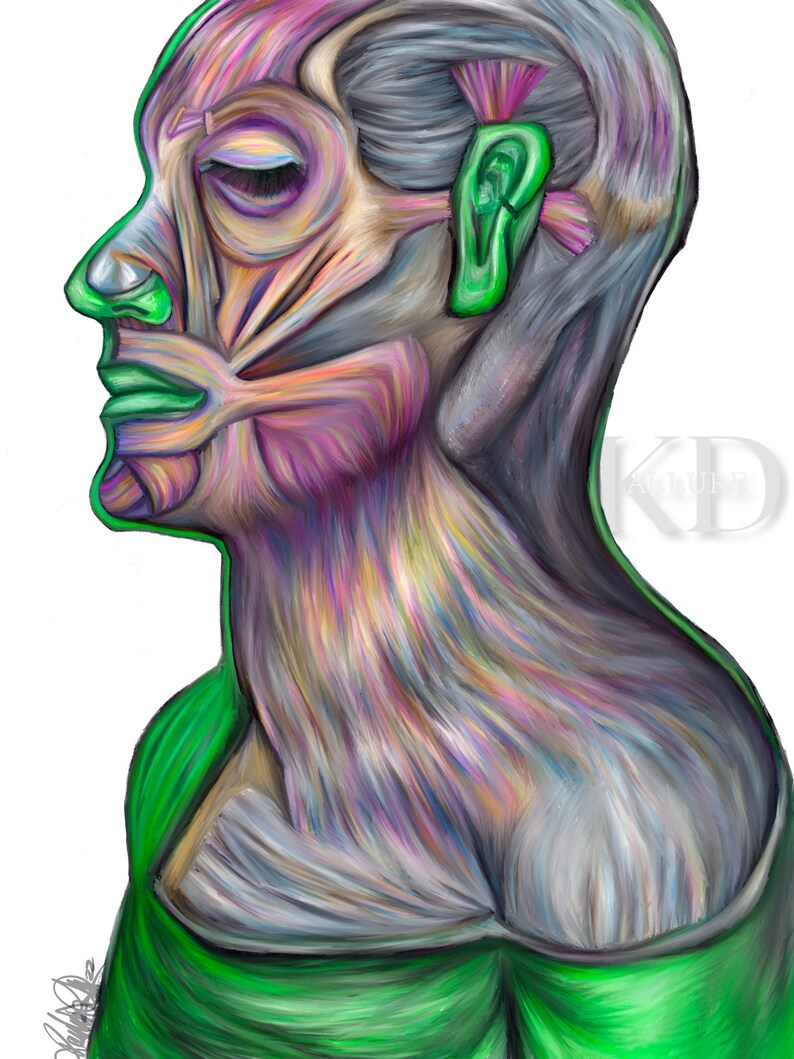 Muscles of Facial Expression, Lateral View-vibrant Colors,digital Hand ...