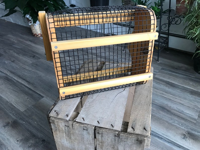 Small Light Weight Cedar Garden Basket - Etsy