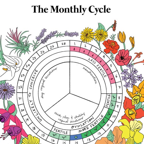The Monthly Cycle of Women Digital Download - Etsy