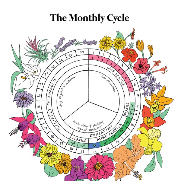 Period Moon Cycle Chart - Etsy