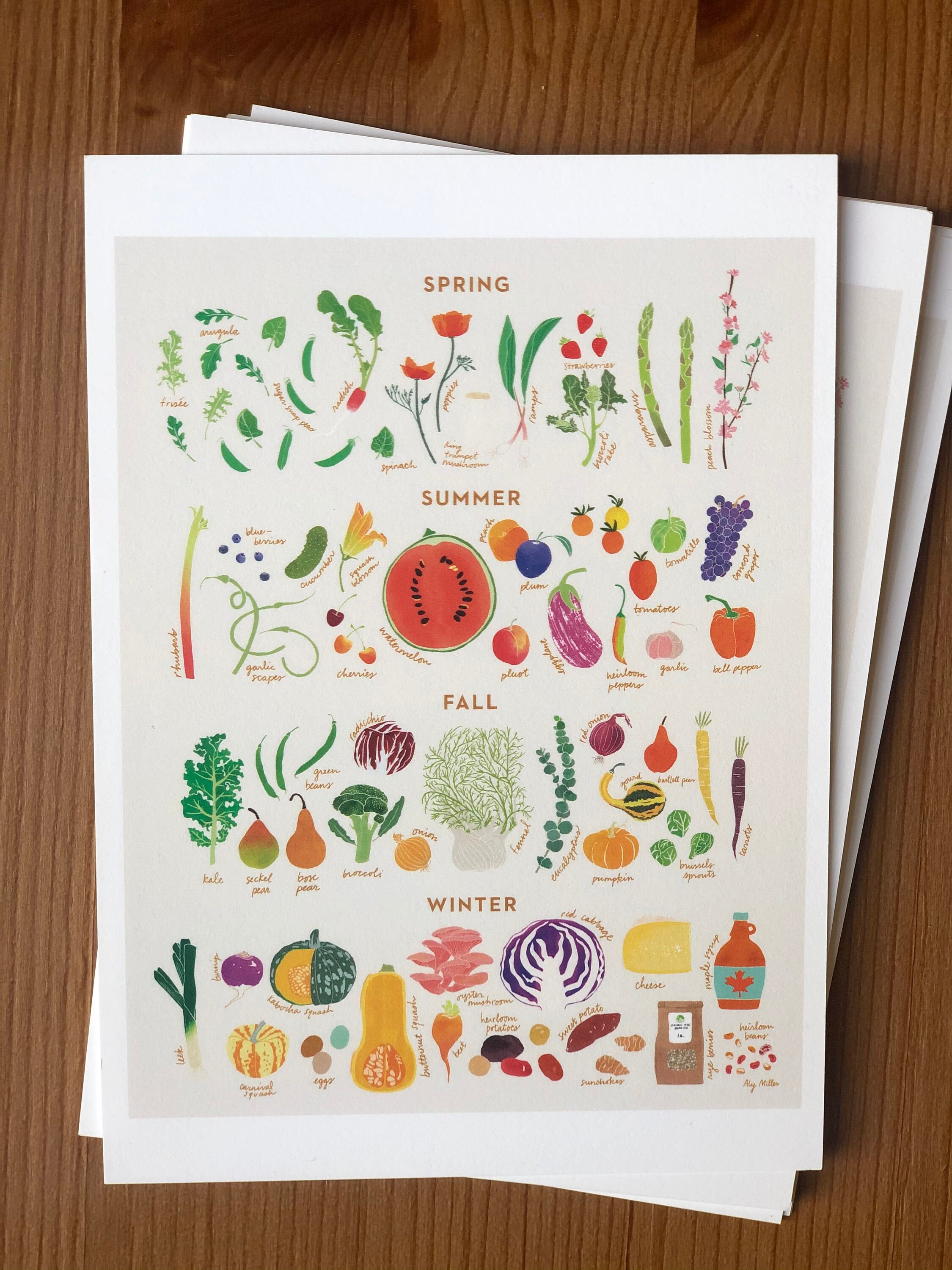 Seasonal Produce Postcards — Aly Miller Designs