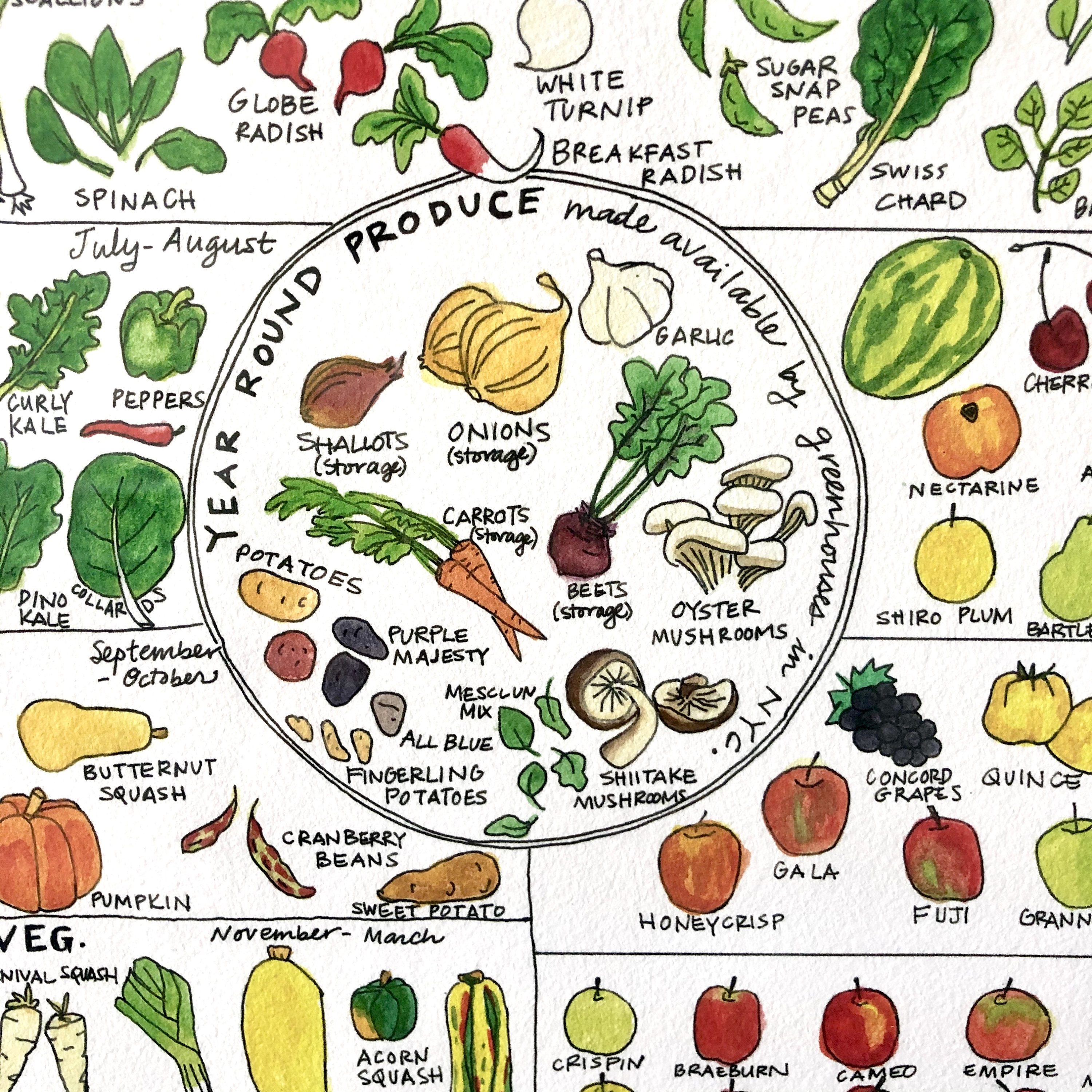 Framed Local Produce of New York Chart - Etsy
