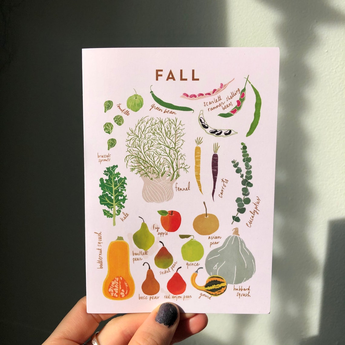 Seasonal Produce Greeting Cards | Etsy