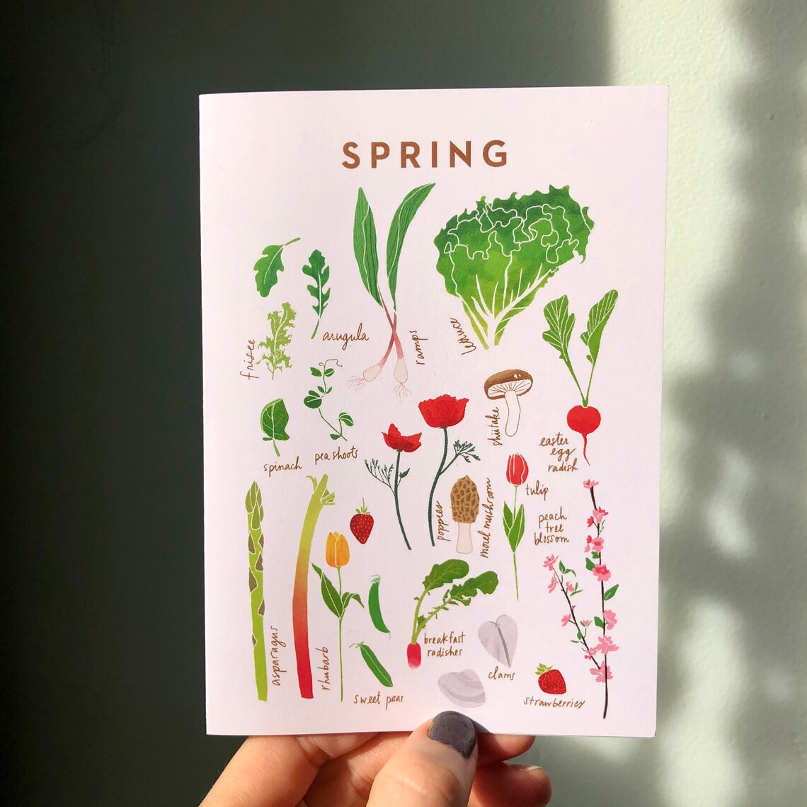 Seasonal Produce Greeting Cards | Etsy