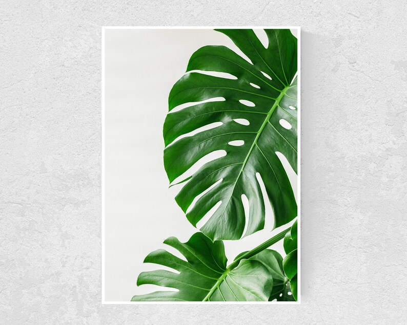 Monstera Leaf Print Set of 3 Large Leaf Prints Palm Leaf | Etsy