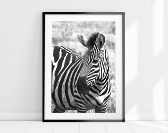 Zebra Prison Break Print Comic Criminal Vintage Art Photo - Etsy