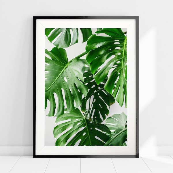 Tropical Leaf Print - Etsy