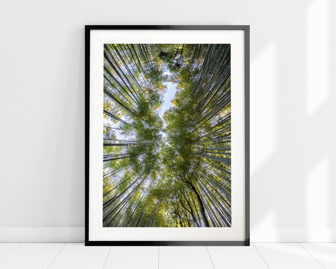 Trees Wall Art, Bamboo Tree Canopy Poster Print, Green Forest Nature ...