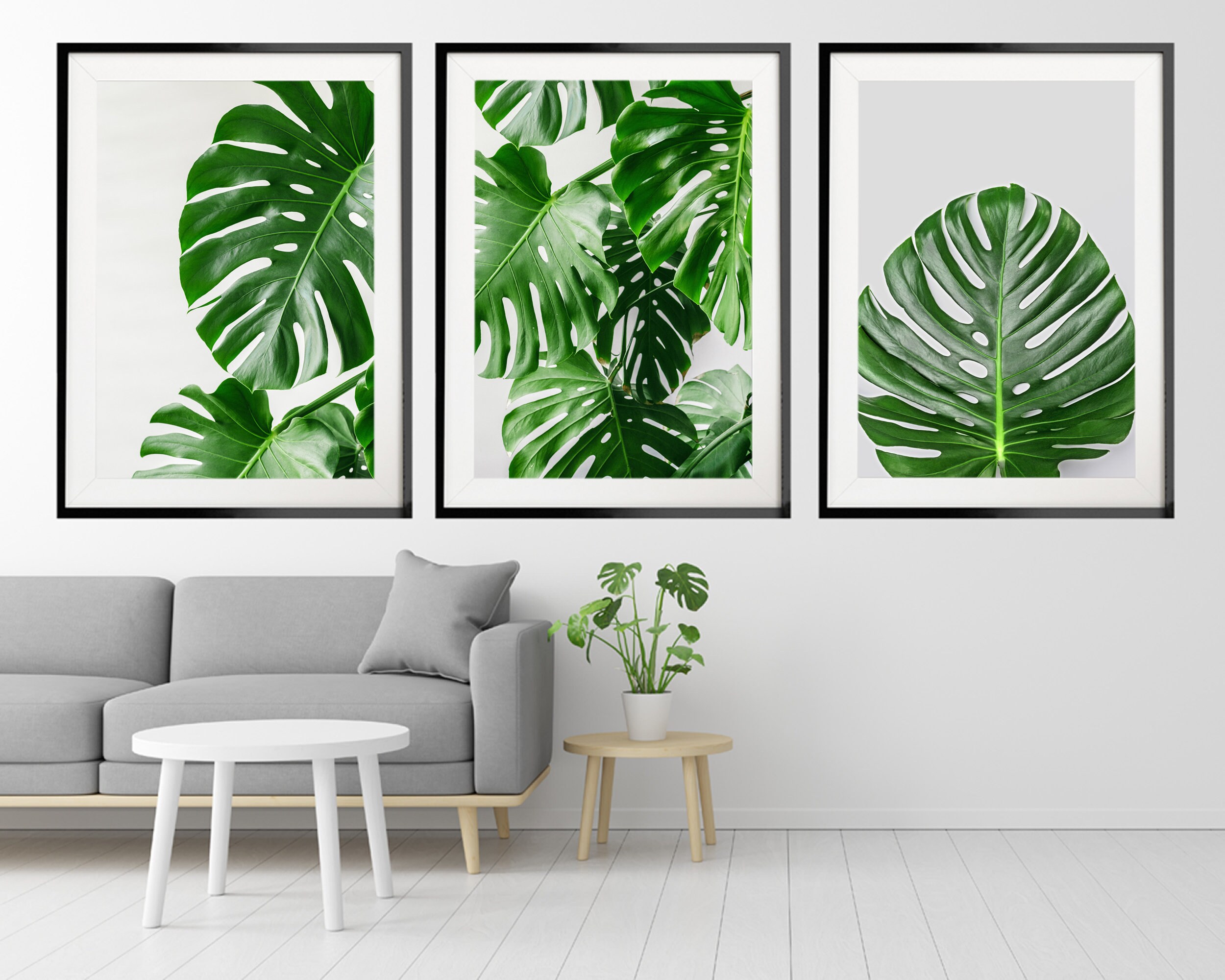 Monstera Leaf Print Set of 3 Large Leaf Prints Palm Leaf | Etsy