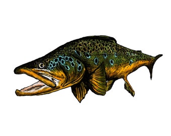 Brown Trout Drawing | Etsy