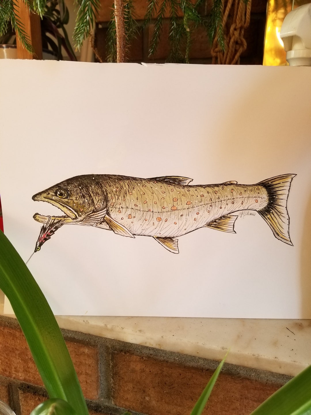 Bull Trout Drawing // Original // Fish Art - Etsy