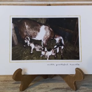 With Grateful Hearts Goat Art Print - Etsy