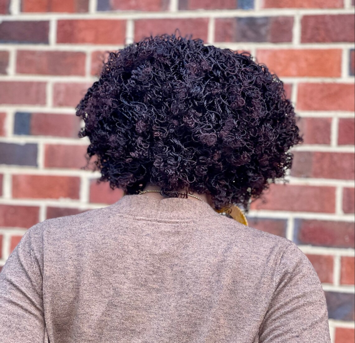 Micro Loc Twist Sisterlock Lace Front Braid Wig - Etsy