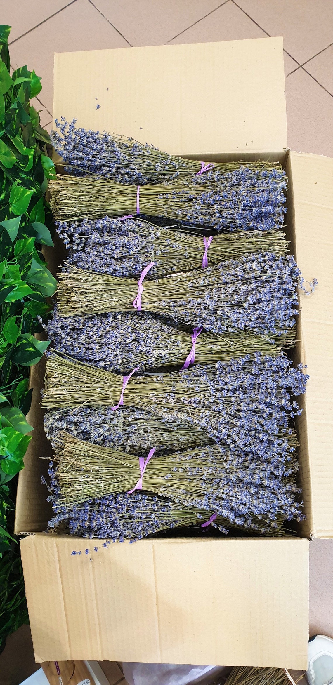 Dried Lavender Bundles 250 Stems Grade A Lavender Bouquet - Etsy