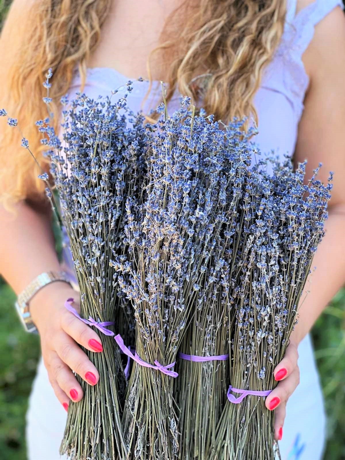 Dried Lavender Bundles 250 Stems Grade A Lavender Bouquet - Etsy