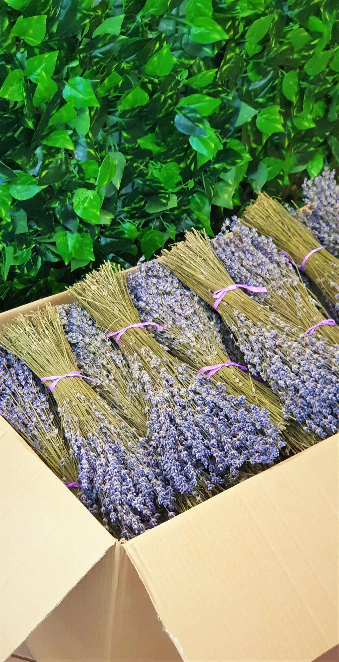 Dried Lavender Bundles 250 Stems Grade A Lavender Bouquet - Etsy