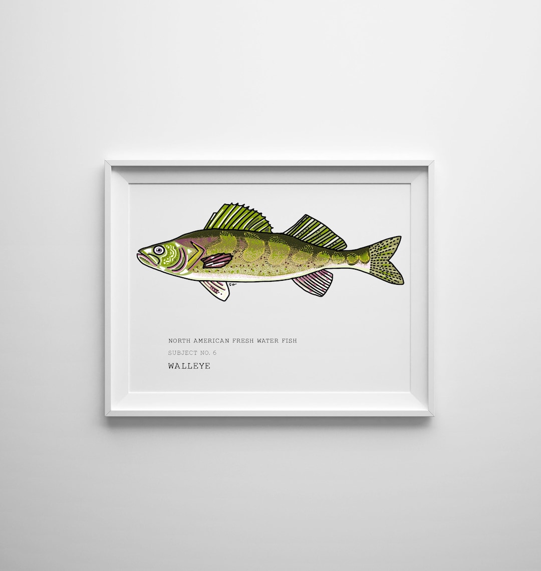 Walleye Fish Art - North American Freshwater Fish Series by Sarah Hiers ...