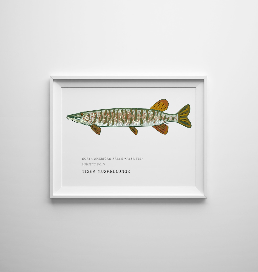 Tiger Muskellunge Fish Art - North American Freshwater Fish Series by ...