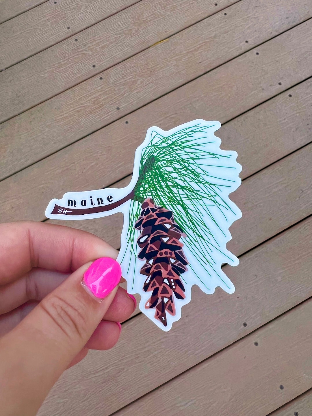 Maine Pinecone Sticker - White Pinecone Sticker Art - Vinyl Pinecone ...