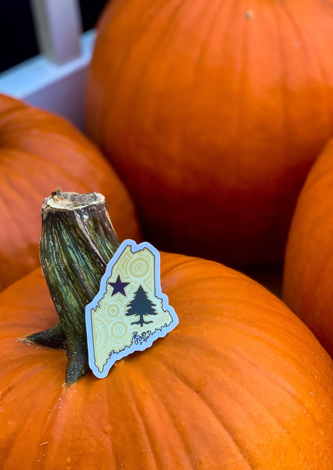 Maine State Flag Sticker - Old Maine State Flag - Maine Flag Sticker ...