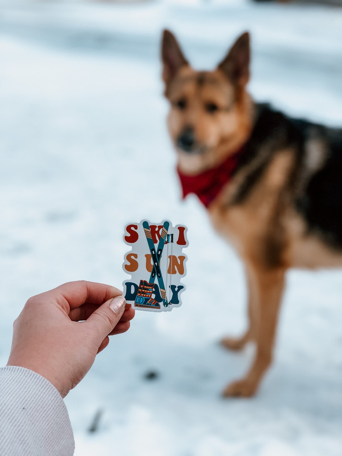 Ski Sunday Sticker Sunday River Sticker Sunday River - Etsy