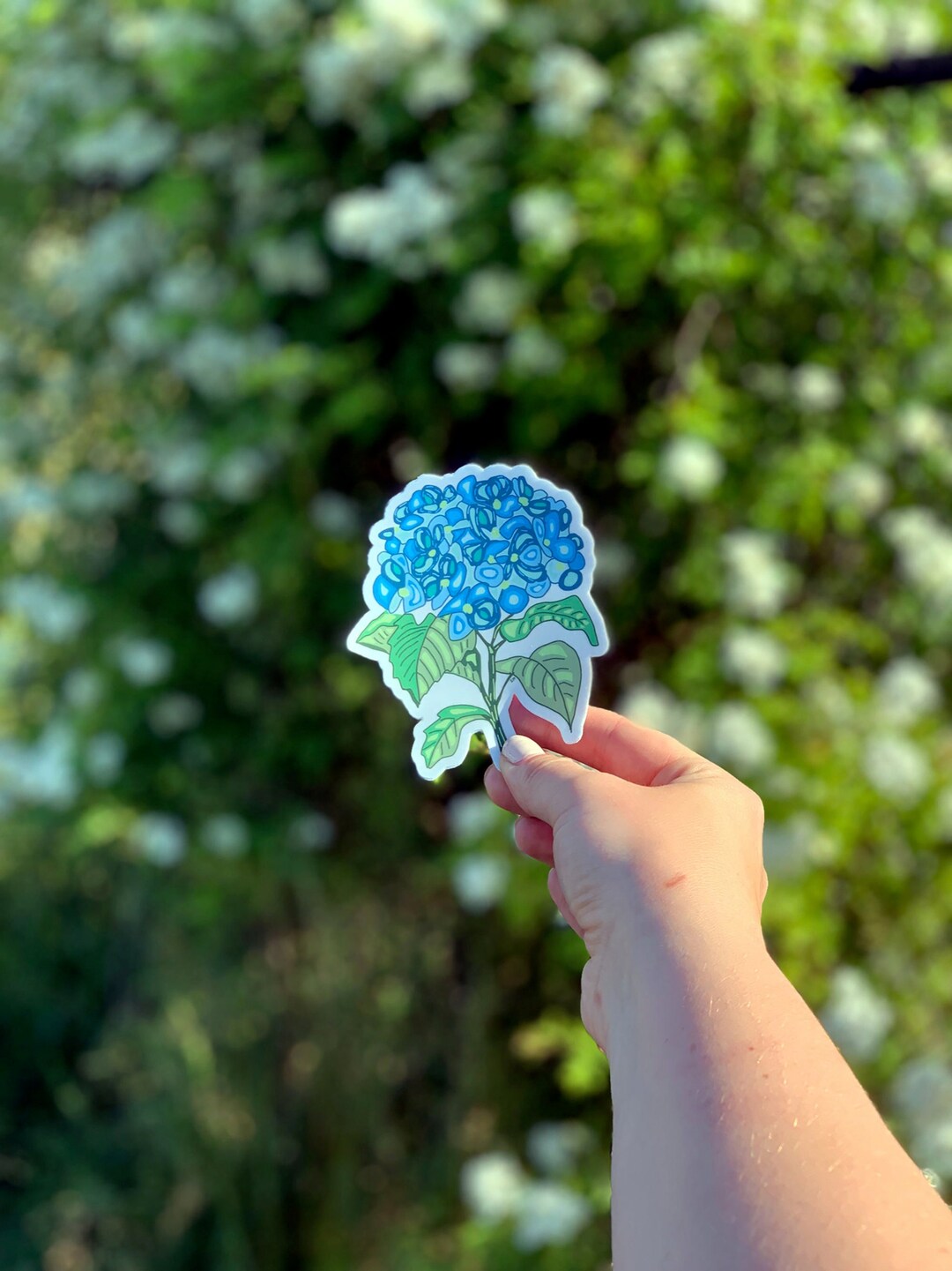 Hydrangea Sticker - Hydrangeas Sticker Art - Hydrangea Flower Vinyl ...