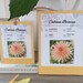 Flower Identification Cards Editable Template - Etsy