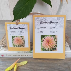 Flower Identification Cards Editable Template - Etsy