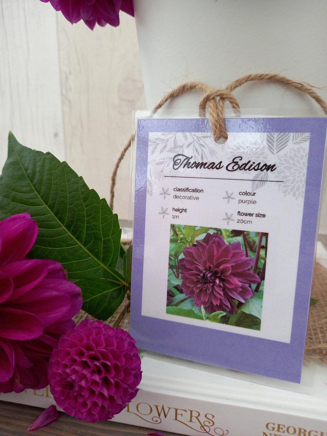 Flower Identification Cards Editable Template - Etsy New Zealand