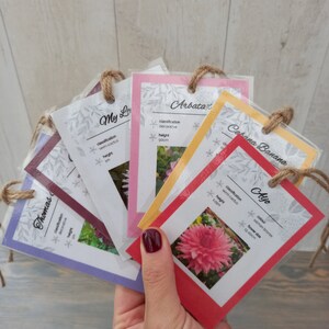 Flower Identification Cards Editable Template - Etsy