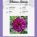 Flower Identification Cards Editable Template - Etsy