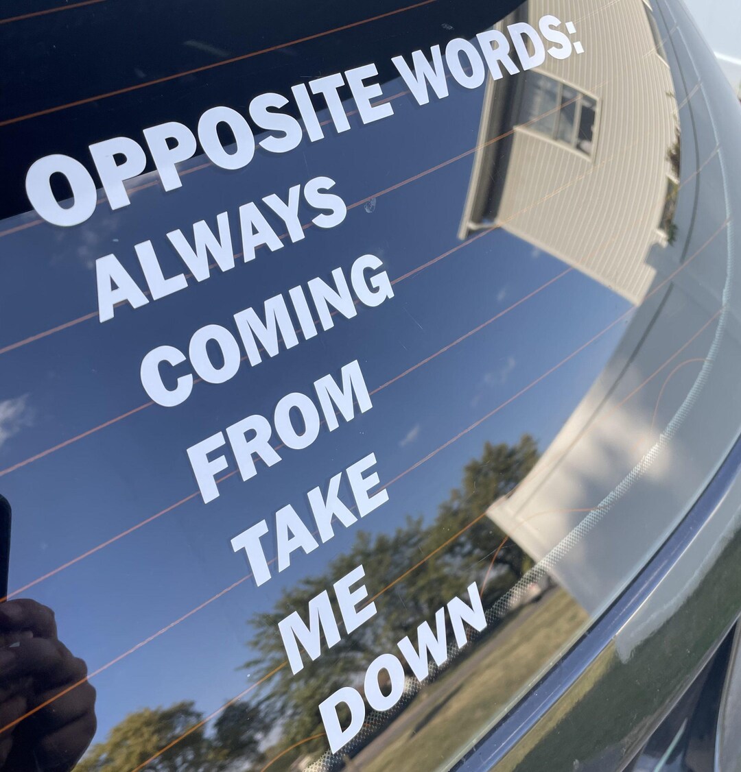 Opposite Words Hilarious Funny Joke Car Decal - Etsy