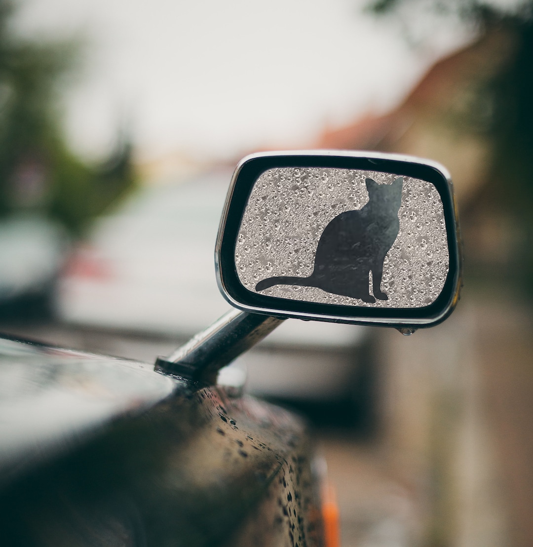 Mirror Shapes, Cat Shape, Anti Fog Film, Anti Water Film, Mirror Peeker ...