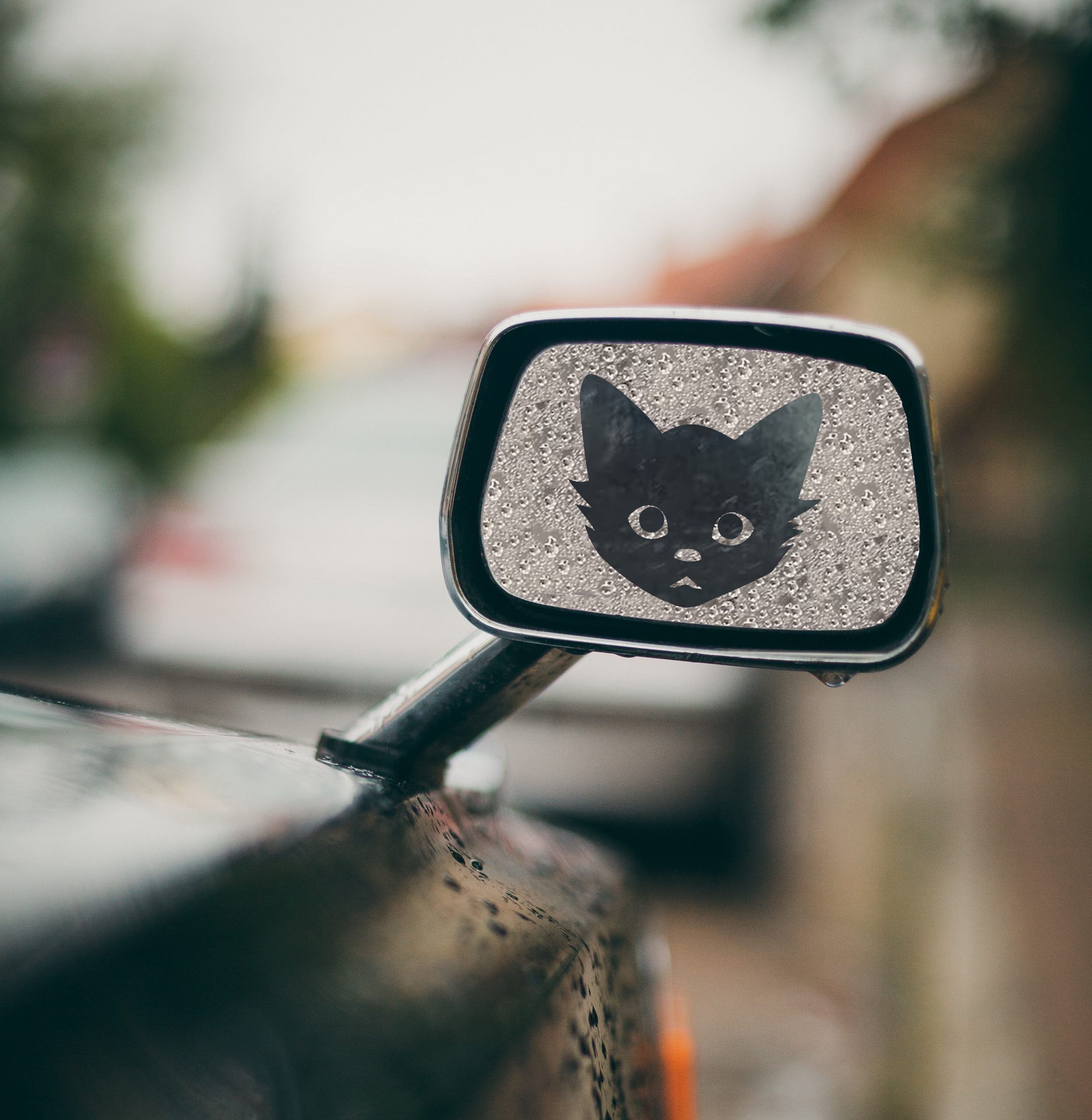 Mirror Shapes, Cute Cat Shape, Anti Fog Film, Water Peeker - Etsy
