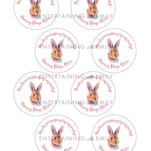 Bunny Party It's Some Bunny's Birthday 2 1/2" Round Thank You Tags ...