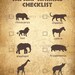 Modern Safari Party Animal Safari Checklist 5x7 INSTANT DOWNLOAD PDF ...