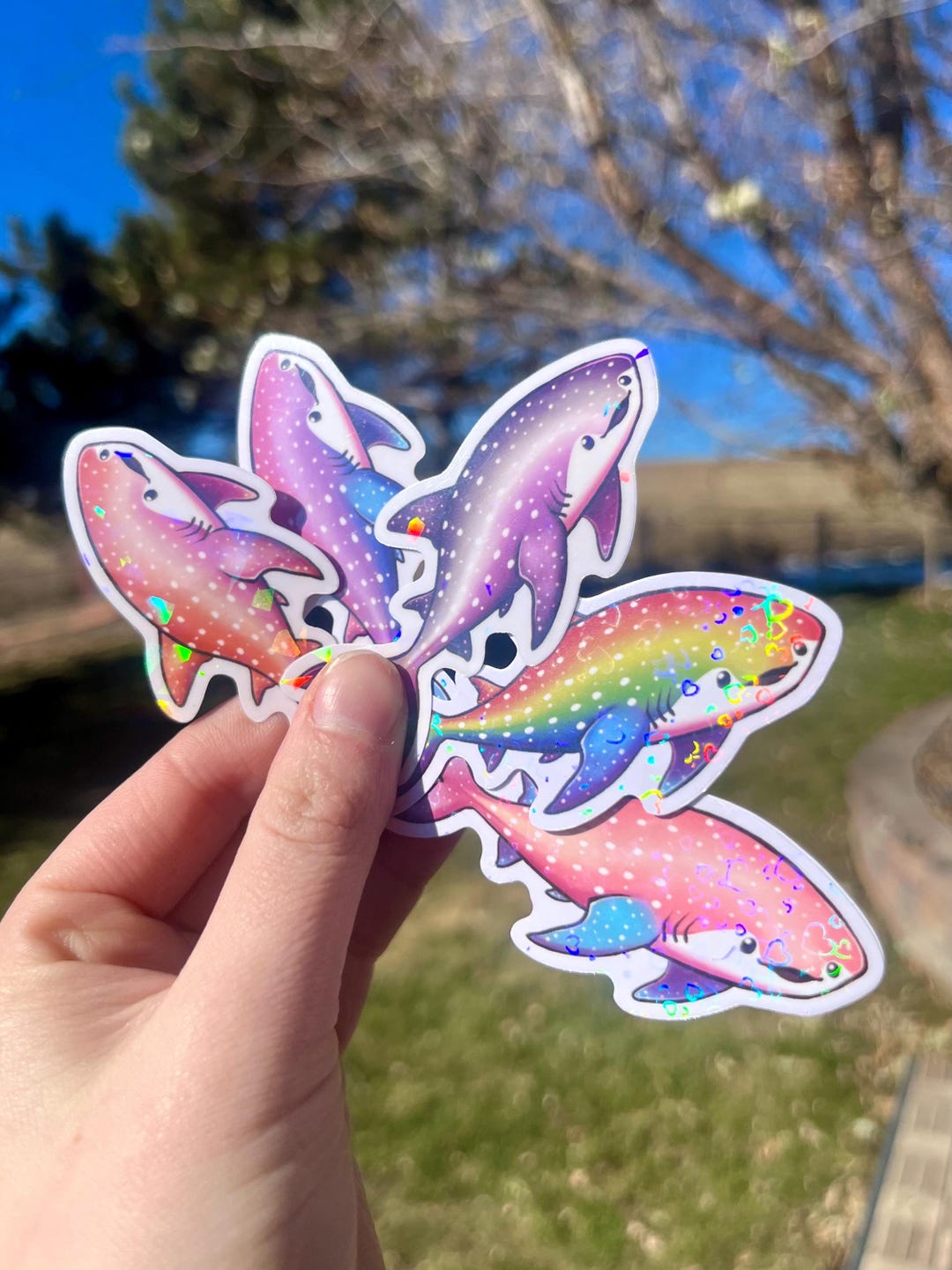 LGBT+ Pride Flag Holographic Whale Sharks Stickers, WAVE ONE: Rainbow ...