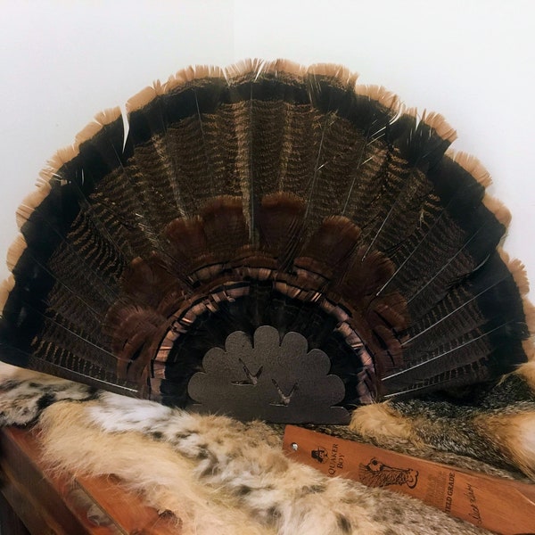 Turkey Fan Mount - Etsy
