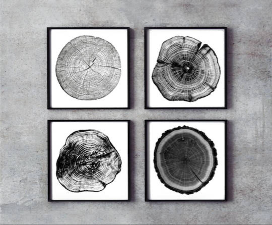 Tree Ringsset of 4stumpwood Decorink Blotlognaturetree - Etsy