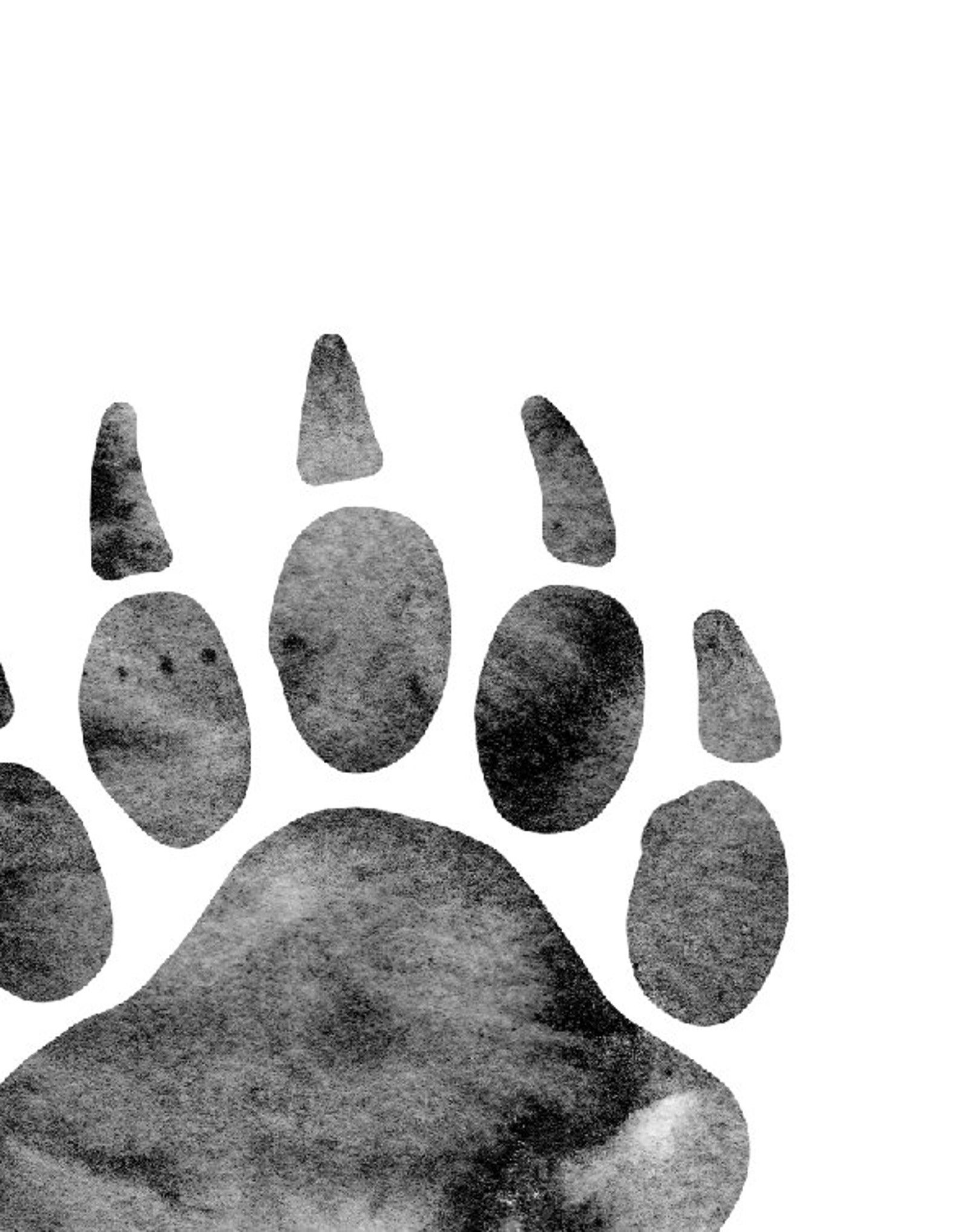 Baby boy Nursery DecorBear Cave GreyLittle BearBear | Etsy