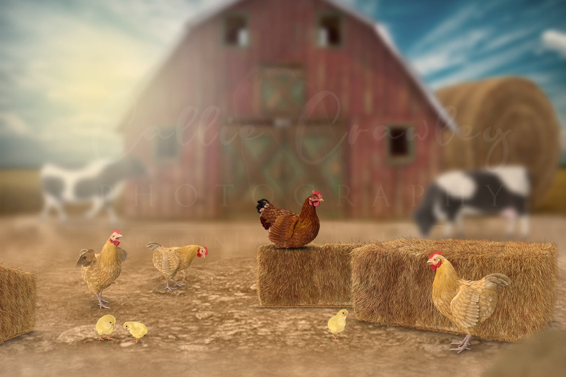 Farm Background. Digital Background. Backdrop. Composite. Chickens. Cow ...