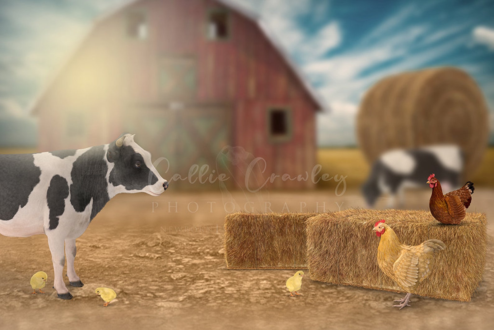 Farm Background. Digital Background. Backdrop. Composite. Chickens. Cow ...