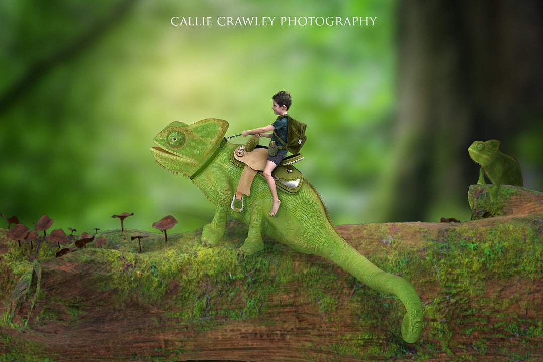 Riding a Lizard. Digital Background. Backdrop. Composite. Photoshop ...